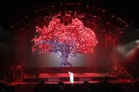 China White Grey 3d Holographic Film Net Screen Up To 10x50m Front Rear Projection for sale