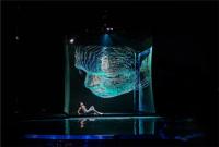 China 9.5x50m Pepperscrim Hologram Screen with 78% Transparency and 2.0-2.4 Gain for Front/Rear 3D Projection for sale