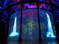 China Product Launch 3D Holographic Display 3d Holo Display Transparent for sale