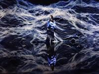 China Pepper Ghost Holographic Projection System / Holographic 3D Digital Projection for sale