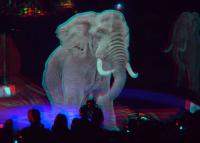 China Musion 3D Image Projection Hologram , 3D Hologram Projector Foil 97% Transmittance for sale