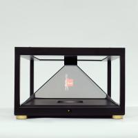 China Tempered Glass 3D Holographic Showcase AC110V Sheet Metal 3d Hologram Display for sale
