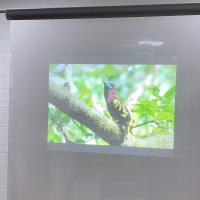 China Dark Grey Self Adhesive Rear Projection Foil , Front Projection Film for Trade Shows for sale