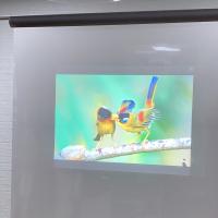 China Transparent Touch holographic rear projection film Vinyl Fabric Lamination for sale