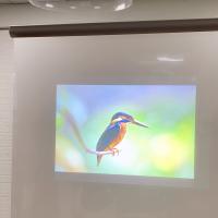 China Projection Screen Vinyl Fabric Korea Touch Transparent Rear Projection Film Reflective for sale