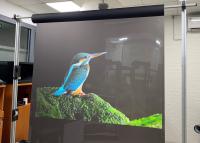 China Touch Window Advertising Screen Rear Projection Screen Film Transparent for sale