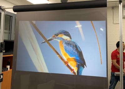 China High Contrast Mirror Rear Projection Film Self Adhesive for window advertising for sale