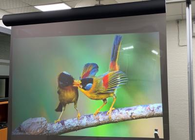 China Touch Window Advertising Screen Rear Projection Screen Film Transparent for sale