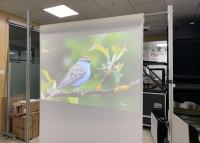 China 1.52 x 30 Meter Transparent Holographic Foil for Rear Projection on Glass for sale