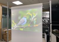 China 1.52 x 30 Meter Transparent Holographic Foil for Rear Projection on Glass for sale