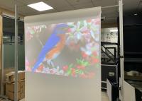 China 1.52 x 30 Meter Transparent Holographic Foil for Rear Projection on Glass for sale