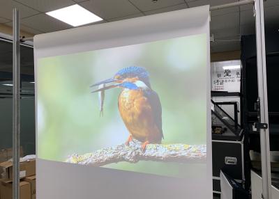 China Transparent Holographic Screen Film for Shop Advertising of Glass Window for sale