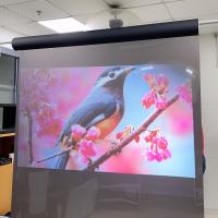 China High contrast Holographic Screen , holoscreen projection film 1524 x 3000mm for sale