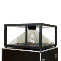 China 19” Full viewing angle 360 Degree Holographic Display Hologram Advertising Display System for sale