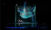 China Pepperscrim Hologram Screen with 78% Transparency and 2.0-2.4 Screen Gain for Front and Rear Projection for sale