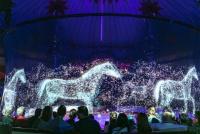 China 50m Length Hologram Gauze with 78% Transparency for Front and Rear Projection as Holographic Screen for sale