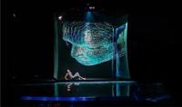 China Front Rear Transparent Hologram Mesh Screen For Live Concert for sale