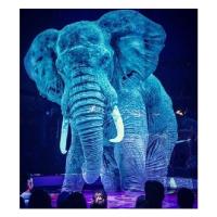 China Length 50m 3D Holographic Projection Screen Transparent Holoflex for sale