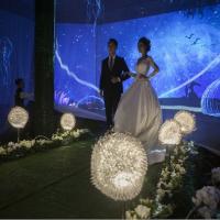 China High Transparency Holographic Mesh Screen Polyamide 10m Height for sale