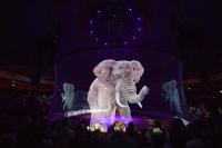 China 3D Holo Gauze Holographic Mesh Screen 9m Width Project Convincing Illusions for sale