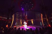 China 3D Holo Gauze Holographic Mesh Screen 9m Width Project Convincing Illusions for sale