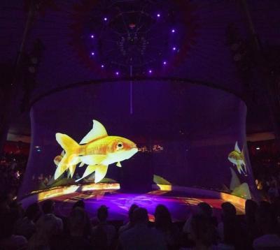China Holo Gauze Holographic Mesh Screen Eyelets Motorized 30m Length For Projection for sale