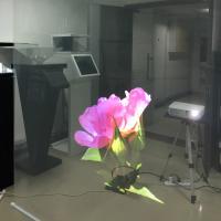 China Shop Window Holographic Projection Film High Contrast 100um For Advertising for sale
