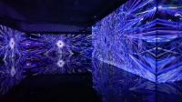 China 360 Degree Holographic Projector Screen Holo Gauze For 3D Hologram Show for sale