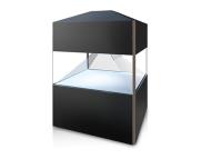 China 19” 4 Sides View 3D Hologram Box for POS  , Holographic Advertising Display for sale