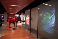 China 1.52*5m Light weight Transparent / White Front & Rear Projection Film for Window Advertising for sale