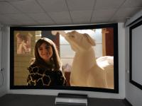 China ROHS Cinema curved fixed frame screen , wall mounted screens for projectors for sale