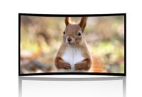 China Ultra HD 4k projection screen , 16/9 curved screen Wall Installation for Cinema for sale