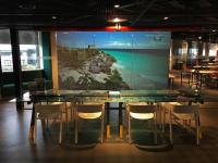 China SMX Display Rear Projection Film 92% Transmittance 100um Self Adhesive for sale