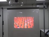 China 30m Adhesive Rear Projection Film Transmittance Transparent For Glass for sale