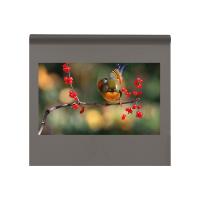 China 100um Clear Rear Projection Film 3D Holographic 30m Length For Window Store for sale