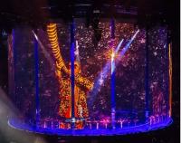 China 360 Degree 3D Holographic Projector Screen Hologram Mesh Screen For Big Show for sale