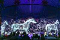 China High Transparent Holographic Mesh Screen Flexible For Projection for sale