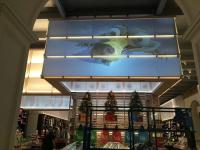 China High Contrast Black Rear Projection Film Wide Viewing Angle 2.5m X 1.52m for sale