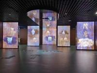 China Polyamide Holographic Mesh Screen Transparent Holo Net For 3D Floating Animations for sale