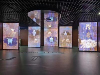 China Polyamide Holographic Mesh Screen Transparent Holo Net For 3D Floating Animations for sale