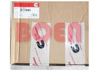 China M11 BOSCH Unit Pump for sale