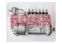 China 5260151 BHF6P120005 Bosch High Pressure Fuel Pump Diesel Fuel Injection Pump for sale