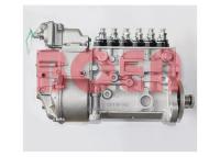 China Construction Machine High Pressure Fuel Injection Pump BHF6P120005 5260153 5301908 for sale