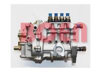 China Antirust Kangda Bosch Unit Pump BH4QT85R9 4QTF40b For Engine 4100QBZ/3200 for sale