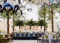 China Aluminum Alloy Clear Span Marquee Tent 3-50m Width with 10-15 Year Lifespan for Weddings and Events for sale