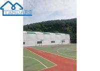 China Custom Aluminum Structure Sports Tent 3-80m Span with 100km/h Wind Load and 75kg/sqm Snow Capacity for sale