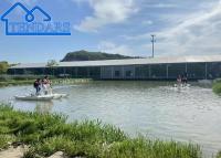 China Custom White Inflatable Air Dome Sports House Tent for Basketball Tennis Court Cover 750g for sale