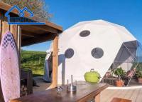 China 8m Diameter Geodesic Dome Steel Structure Tent with 50.26m² Area and 4.72m Height for Camping and Trade Shows for sale