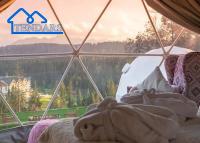 China White Green Glamping Hotel Geodesic Dome Tent 2.4m to 5.85m Diameter Waterproof Eco Camping Shelter for sale
