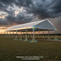 China VIP Cocktail Party Marquee Tents Clear-Span Transparent PVC Roof Reception Canopy Structure for sale